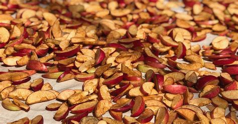 Diy 식품 가을 건강식품 건강한 건강한 생활 과일 기본으로 돌아가기 날 음식 농업 농촌 생활 단순한 생활 러시아 말리는 발효 보존 비타민 사과