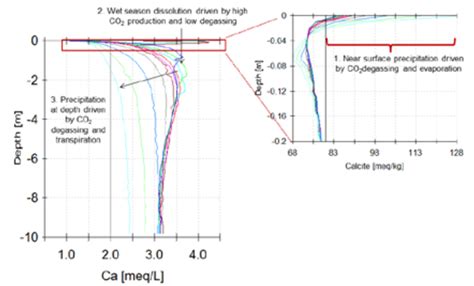 Temporal Evolution Of Calcite Dissolution In Sands Colonised By