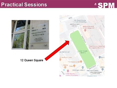 Statistical Parametric Mapping For F Mri Vbm Guillaume