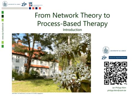 Pdf From Network Theory To Process Based Therapy