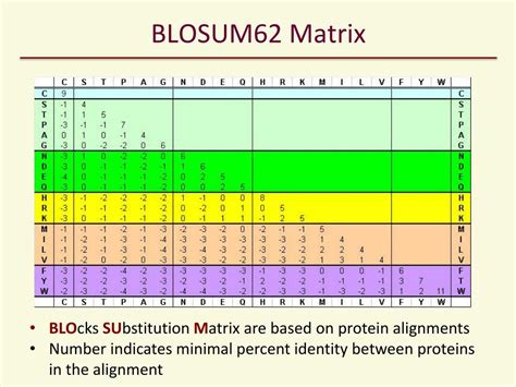 Ppt Sequence Similarity And Alignment With Blast Powerpoint Presentation Id2115267