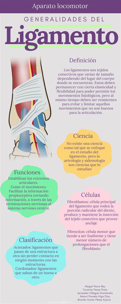 Infografía Ligamento Practica 4 G E N E R A L I D A D E S D E L