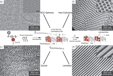 The Four Hybrid Diblock Copolymer Morphologies After Incorporation Of