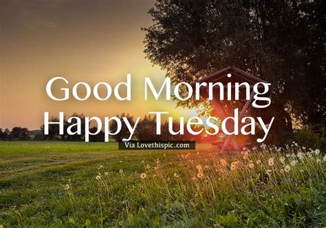 Sunrise Good Morning Its Tuesday 73 Good Morning Tuesday Quotes To