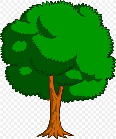 Hojas De Arboles Dibujos