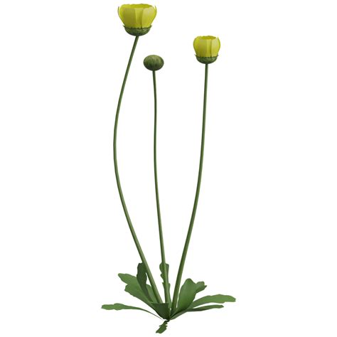 Plants Without Pot 3d Model A23d