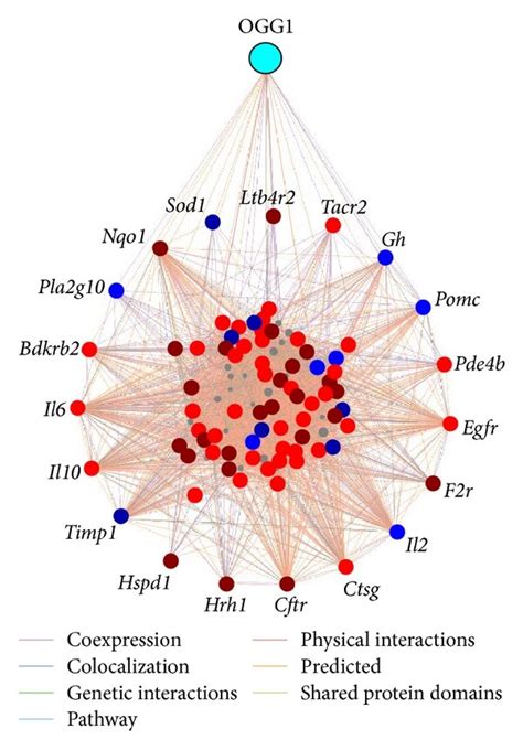 Ogg1 Ber Induced Gene Expression Associated With Ahr Mouse Lungs