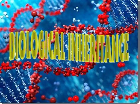 Biological Inheritance Ppt