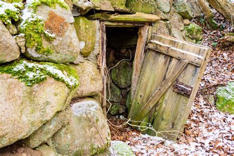 The All But Forgotten Root Cellar Survivopedia