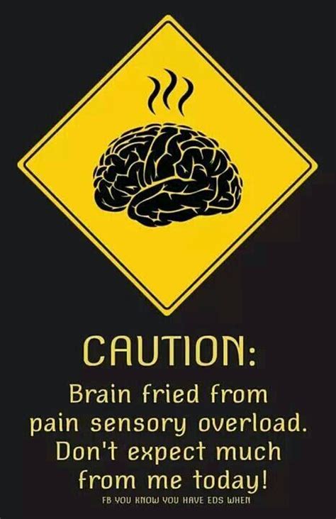 Quotes About Brain Overload 22 Quotes