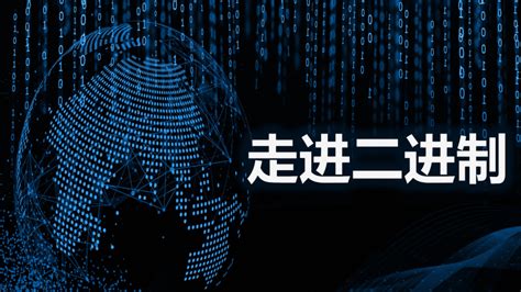1 4 二进制与信息编码走进二进制 课件 共38张PPT 西交大版2014初中信息技术七年级上册 21世纪教育网 二一教育