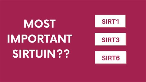 Sirtuin 1 Sirtuin 3 And Sirtuin 6 Which One Is The Coolest Nmnbio