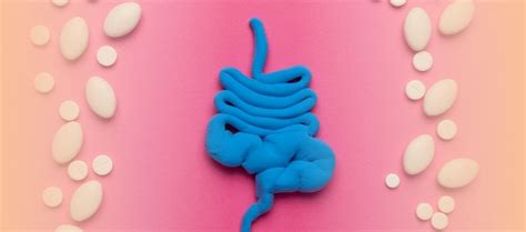 Digestive Problems Osteopedia Il Portale Mondiale Dellosteopatia