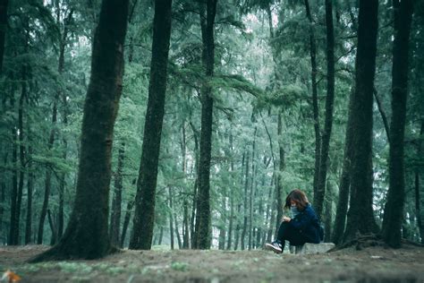 Forest Girl Free Photo On Pixabay Pixabay