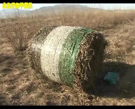 柠条平茬打捆收割机 三农视频 搜狐视频