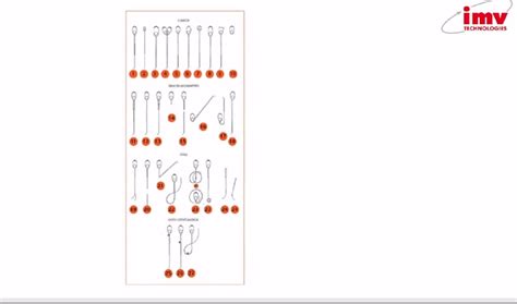 种公猪睾丸问题 知乎
