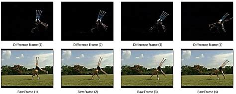 The Original Frames Vs Difference Frames Download Scientific Diagram