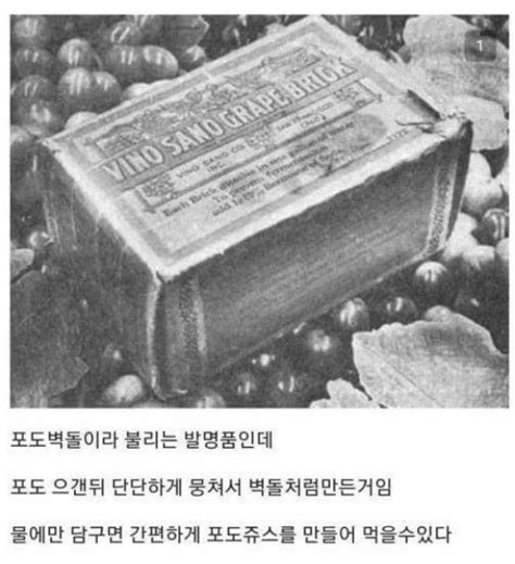 100년전 대 실패한 미국의 어느 발명품 포텐 터짐 최신순 에펨코리아