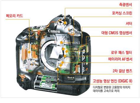 디지털slr카메라 Dslr 카메라소개 캐논 Dslr카메라 Dslr관련 네이버 블로그