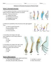 Understanding Evolutionary Concepts Assessment Review Course Hero
