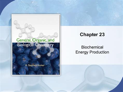 Biochemical Energy Production Pdfcoffeecom