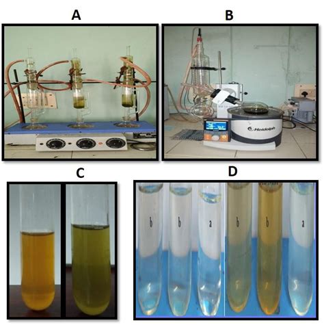 Shows The Extraction Of Ma Leaf And Fruit Extracts Using A B Soxhlet