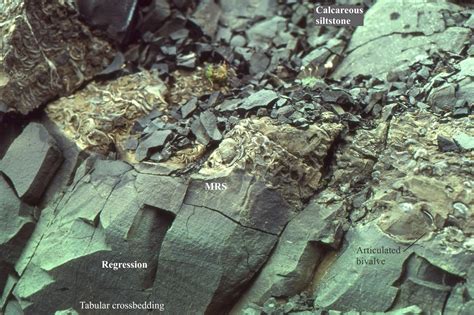 Maximum Flooding Surface Archives Geological Digressions