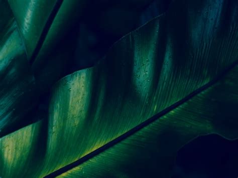 Interdisciplinary Research Training Program For International Population Science The Institute