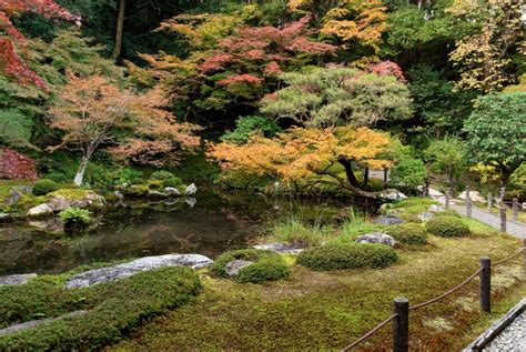 Landscape Architect Tomoki Kato Talks About Japanese Gardens