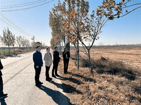 【攻坚在行动】龙亭区领导率队督导检查上级交办问题整改情况工作