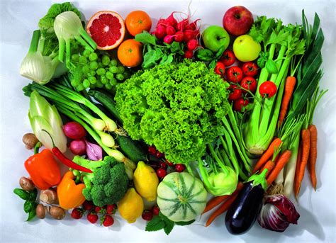 Walk Lighter On The Earth NY Res 2 Why Vegetarianism