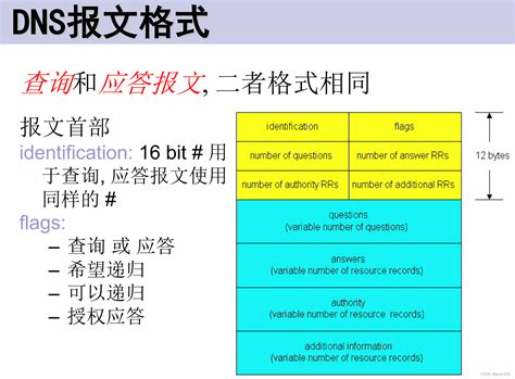 【计算机网络笔记】dns报文格式dns报文编辑 Csdn博客