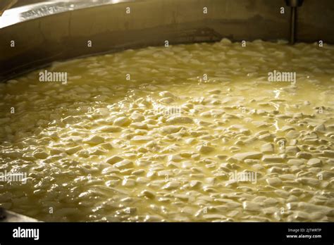 The Process Of Producing Different Varieties Of Cheese In Industry