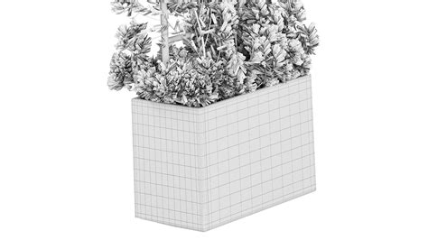 3d Botanical Planter Model Turbosquid 2285755