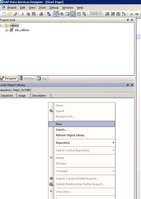 cannot create datasource sap community