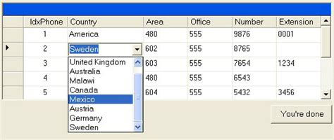 Datagrid Zen Novice Codeproject
