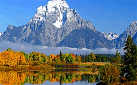 외통인생 데미안