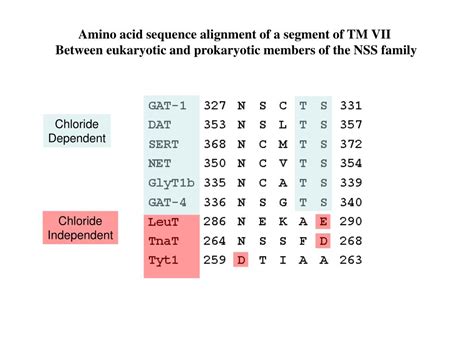 Ppt Structure And Function Of Neurotransmitter Transporters Powerpoint Presentation Id 4702127