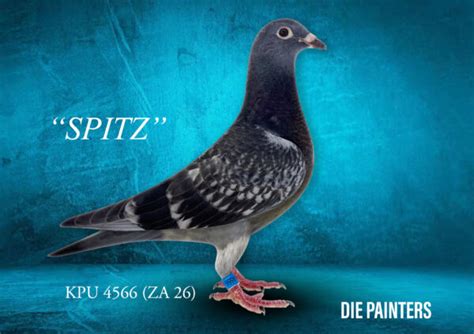 Lot 4 Die Painters Za 26 Kpu 4566 “spitz” Cock Painter Putterie