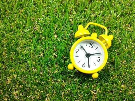 Grass Clock Images Free Download On Freepik