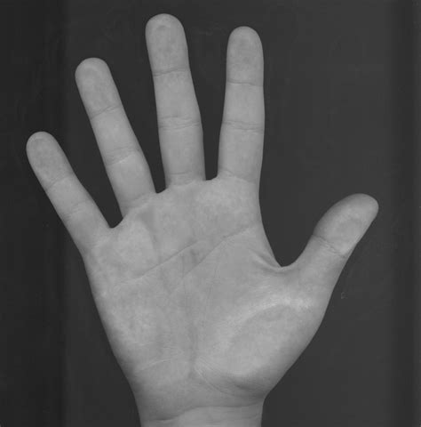 Project Biometric Authentication