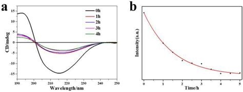 The Secondary Structure Characterization For Aβ 1 40 Aggregates During