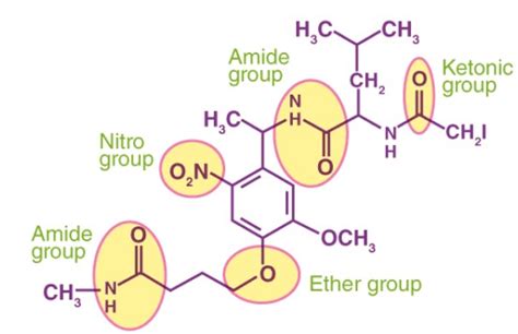Difference Between Functional Group And Substituent Relationship Between