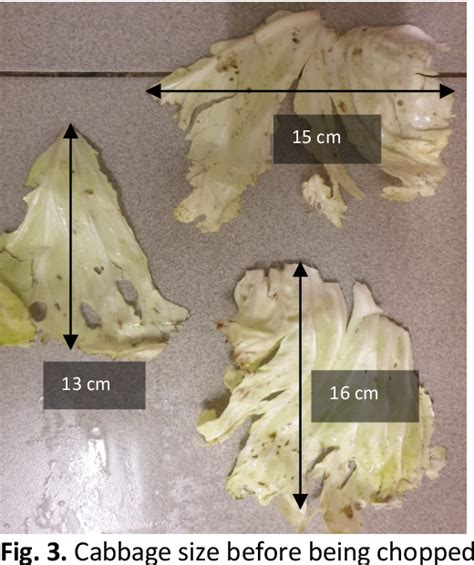 Figure 1 From Development Of Smart Chopper Composting Monitoring System