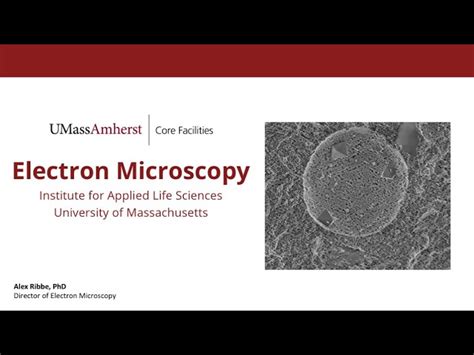 Electron Microscopy Institute For Applied Life Sciences