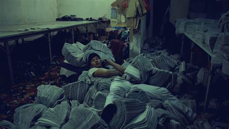 The Youth Trilogy Movieweb