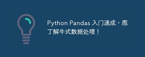 Python Pandas 入门速成，庖丁解牛式数据处理！ 叮当号