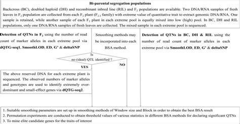 DQTG Seq A Comprehensive R Tool For Detecting All Types Of QTLs Using Extreme Phenotype