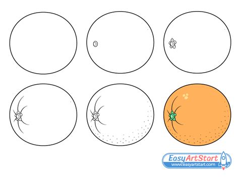 How To Draw An Orange Step By Step Easyartstart
