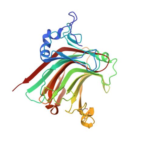 RCSB PDB 7C8F Structure Of Alginate Lyase AlyC3 In Complex With